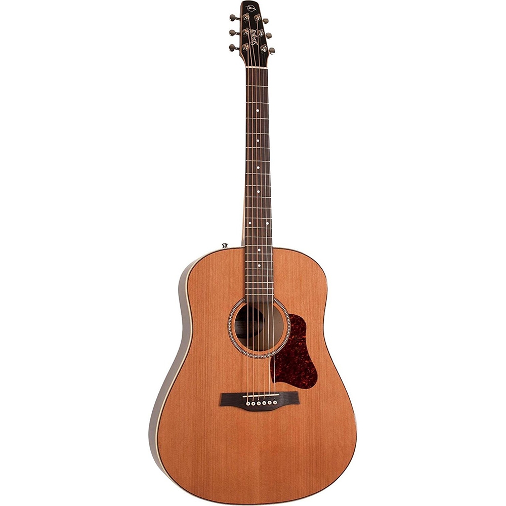 Seagull Coastline Momentum Acoustic-Electric Guitar High Gloss ...